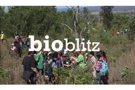 Gulf Islands Mini Bioblitz - SciStarter