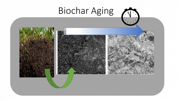 Biochar Soil Aging - SciStarter
