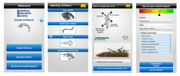 Creek Critters - SciStarter