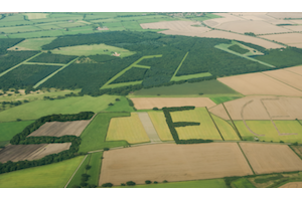 Cropland Capture - SciStarter