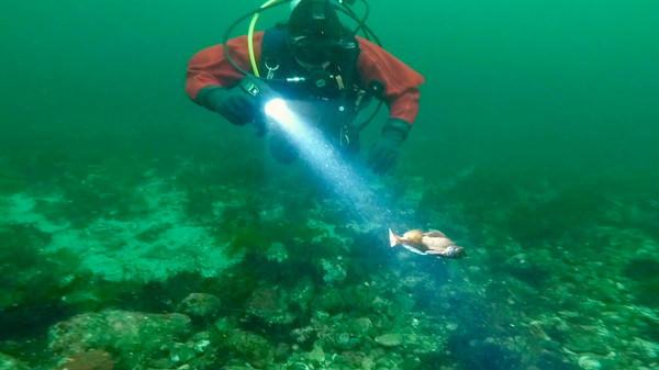 Guardians of the Deep - SciStarter