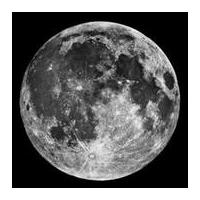 Moon Zoo - SciStarter