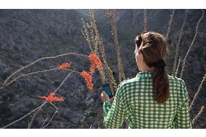 Nature's Notebook - SciStarter