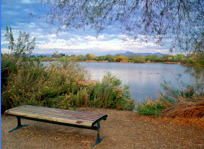 Southeast Regional Library BioBlitz! - SciStarter