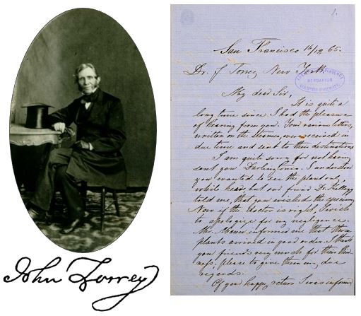 Transcribing Torrey - SciStarter