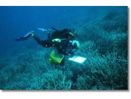 Reef Life Survey - SciStarter