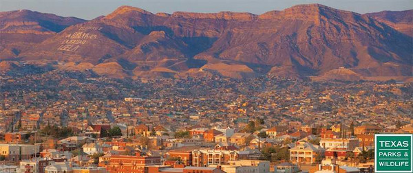 2018 City Nature Challenge: El Paso, Texas - SciStarter