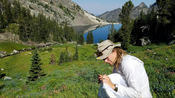 Adventure Scientists: Backcountry Pollinator Survey - SciStarter