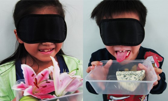 The smell challenge - SciStarter