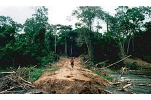 Deforestation Mapping in Canada - SciStarter