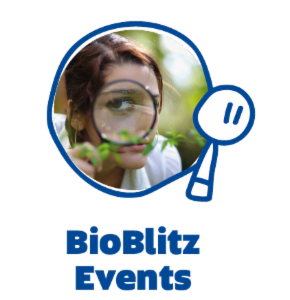 Discovery Circle BioBlitz events - SciStarter