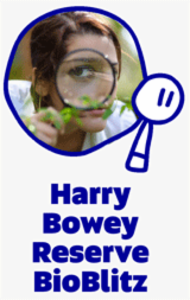 Harry Bowey Reserve BioBlitz 2014 - SciStarter