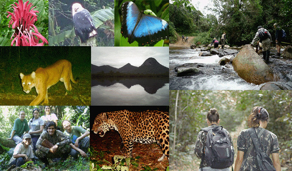 7-day wildlife expedition to the Andean forests/ alpine ecotones of ...
