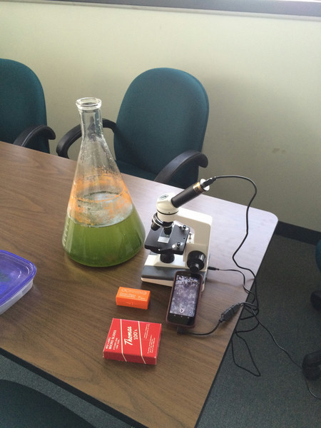 Student Microscope - SciStarter