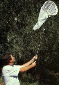 Aerial Net - SciStarter