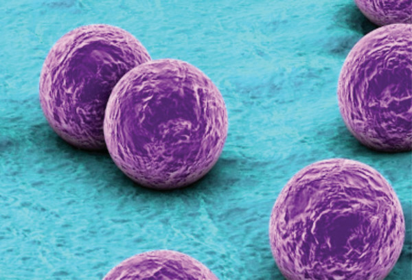 ASU OLLI Workshop: Colony B - SciStarter