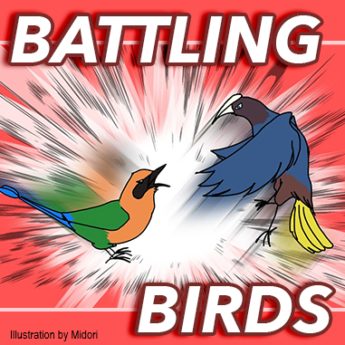 Explore Battling Birds: Panama Edition Data - SciStarter