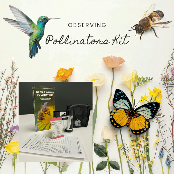 Tracking and Identifying Pollinators Kit - SciStarter