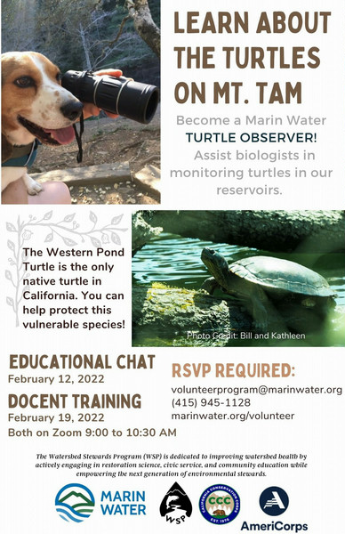 Turtle Observer on Mt. Tam - SciStarter