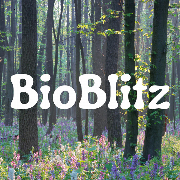BioBlitz for Citizen Science - SciStarter