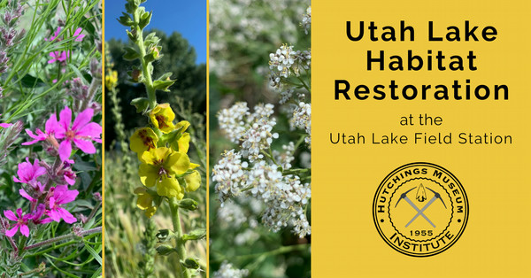 Utah Lake Habitat Restoration - SciStarter