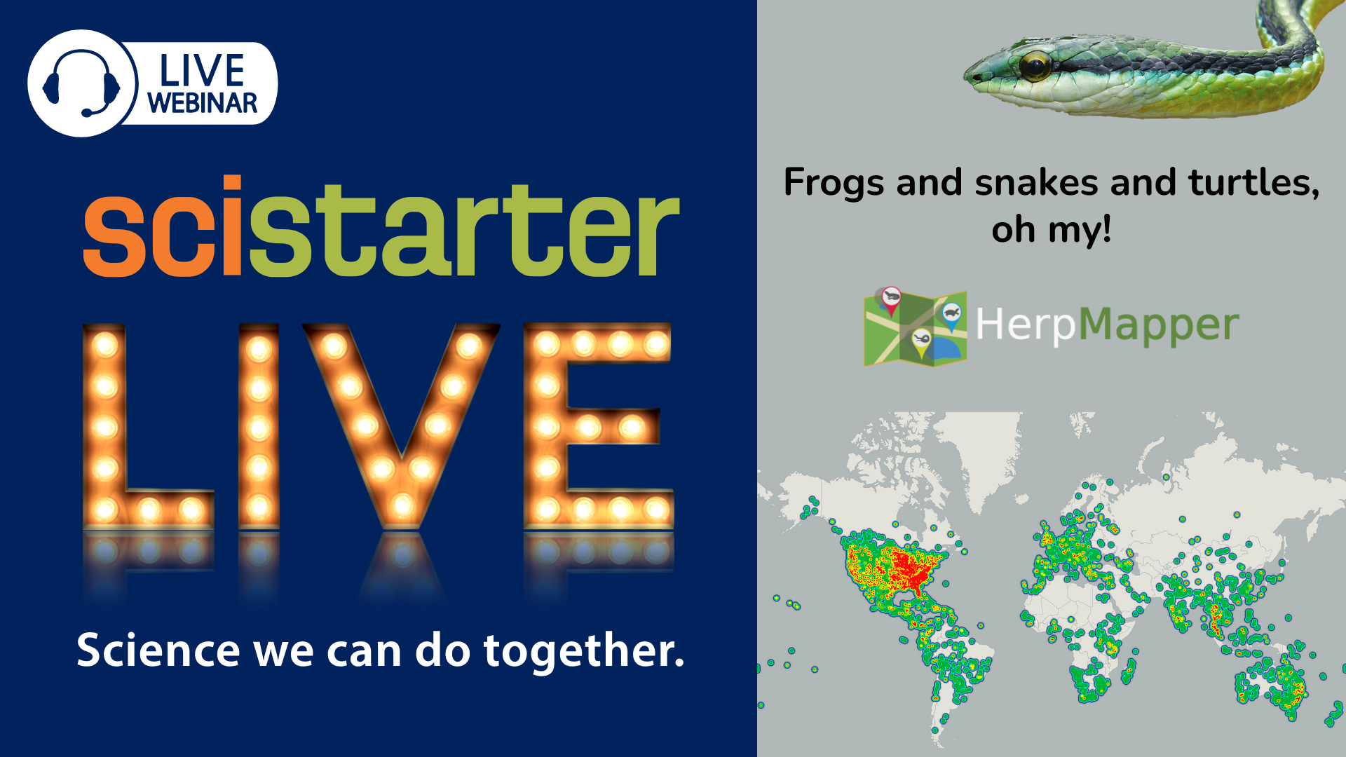 SciStarter LIVE: Frogs and snakes and turtles, oh my! - SciStarter