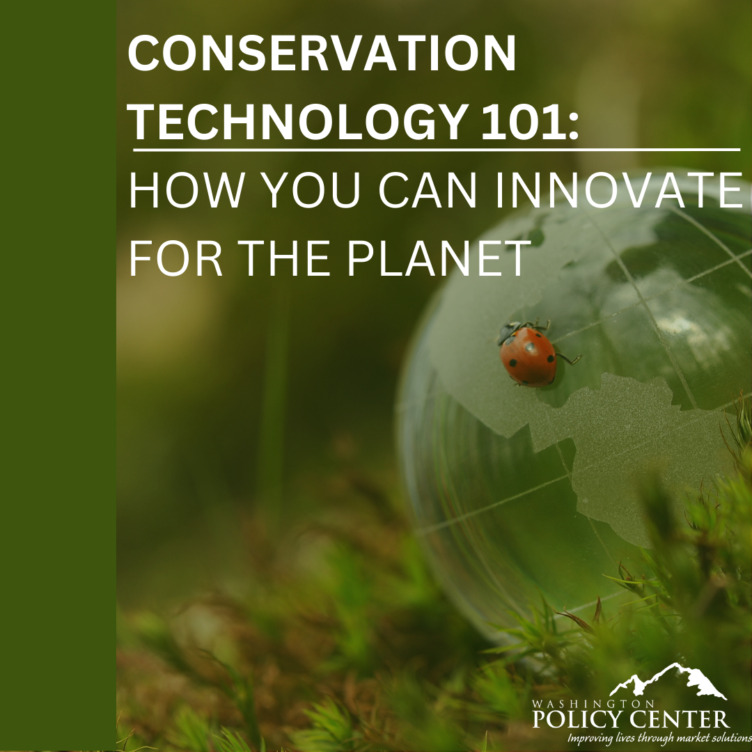 Conservation Technology 101: How you can innovate for the planet ...