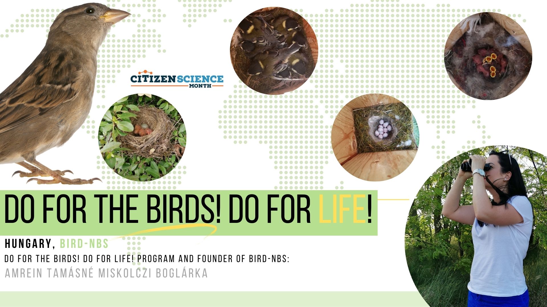 Bird-Human cooperation system research in Romonya - SciStarter