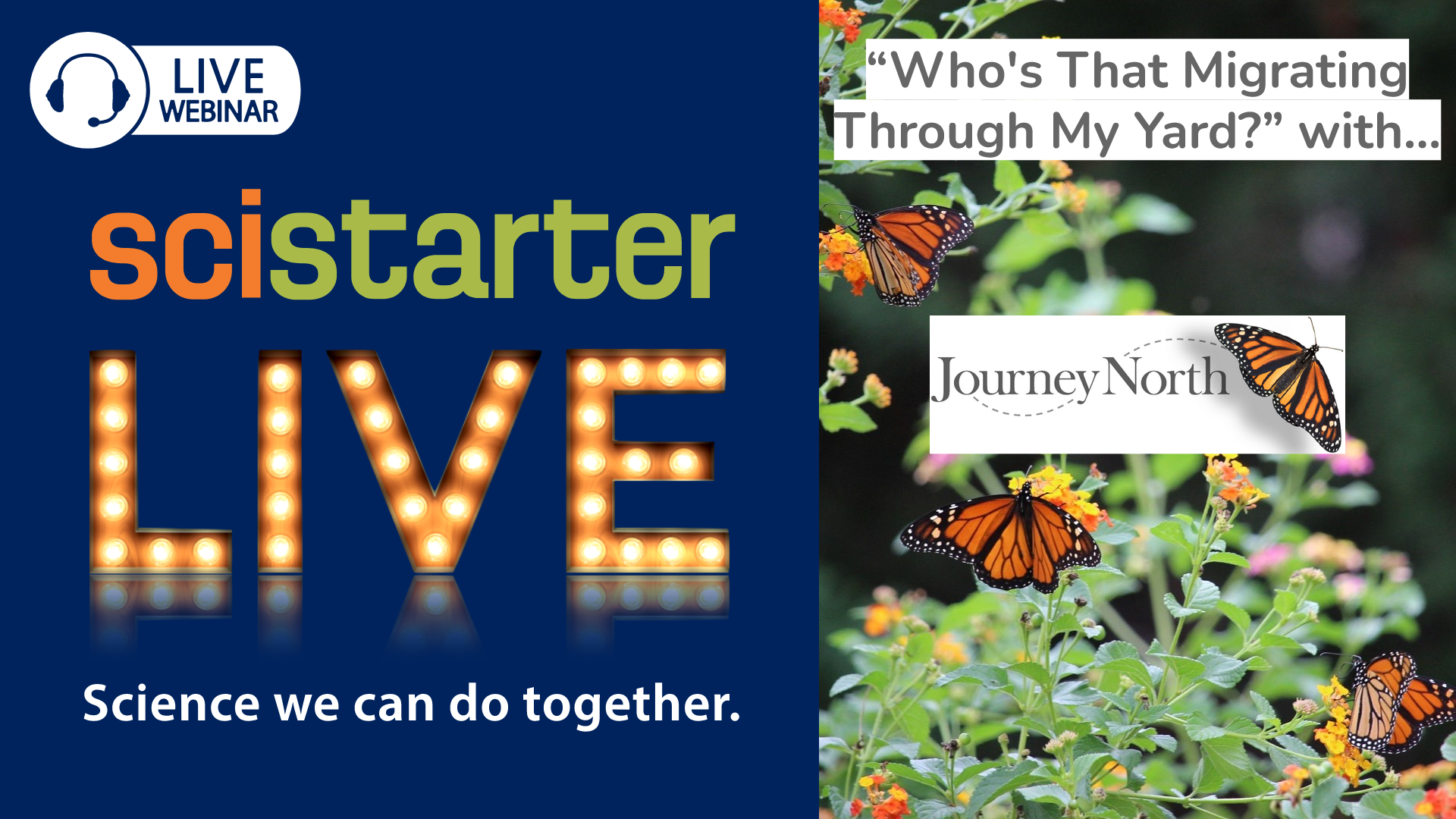 Scistarter Live Who S That Migrating Through My Yard With Journey