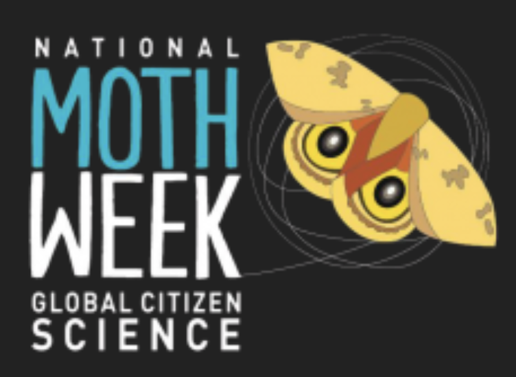 National Moth Week 2023 - SciStarter
