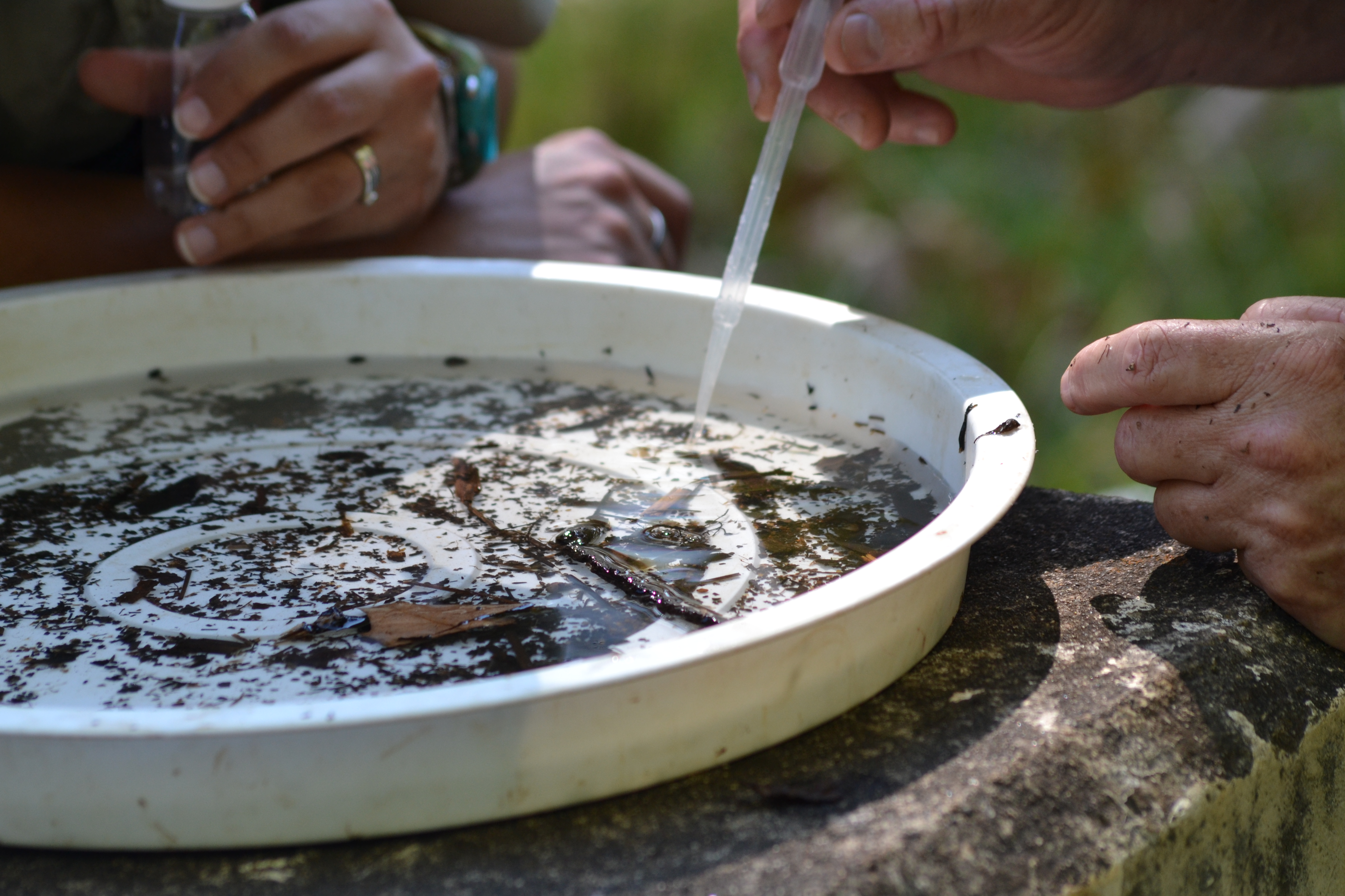 Southern African Citizen Science State of Rivers Report - SciStarter