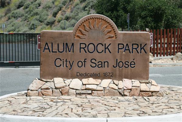 Alum Rock Park BioBlitz event - SciStarter