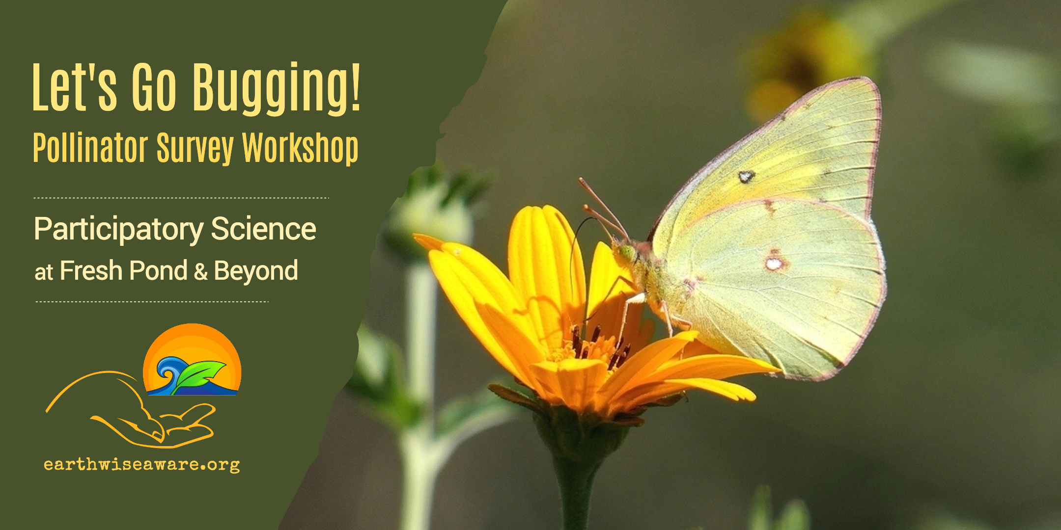 Let's Go Bugging! Pollinator Survey Workshop - SciStarter