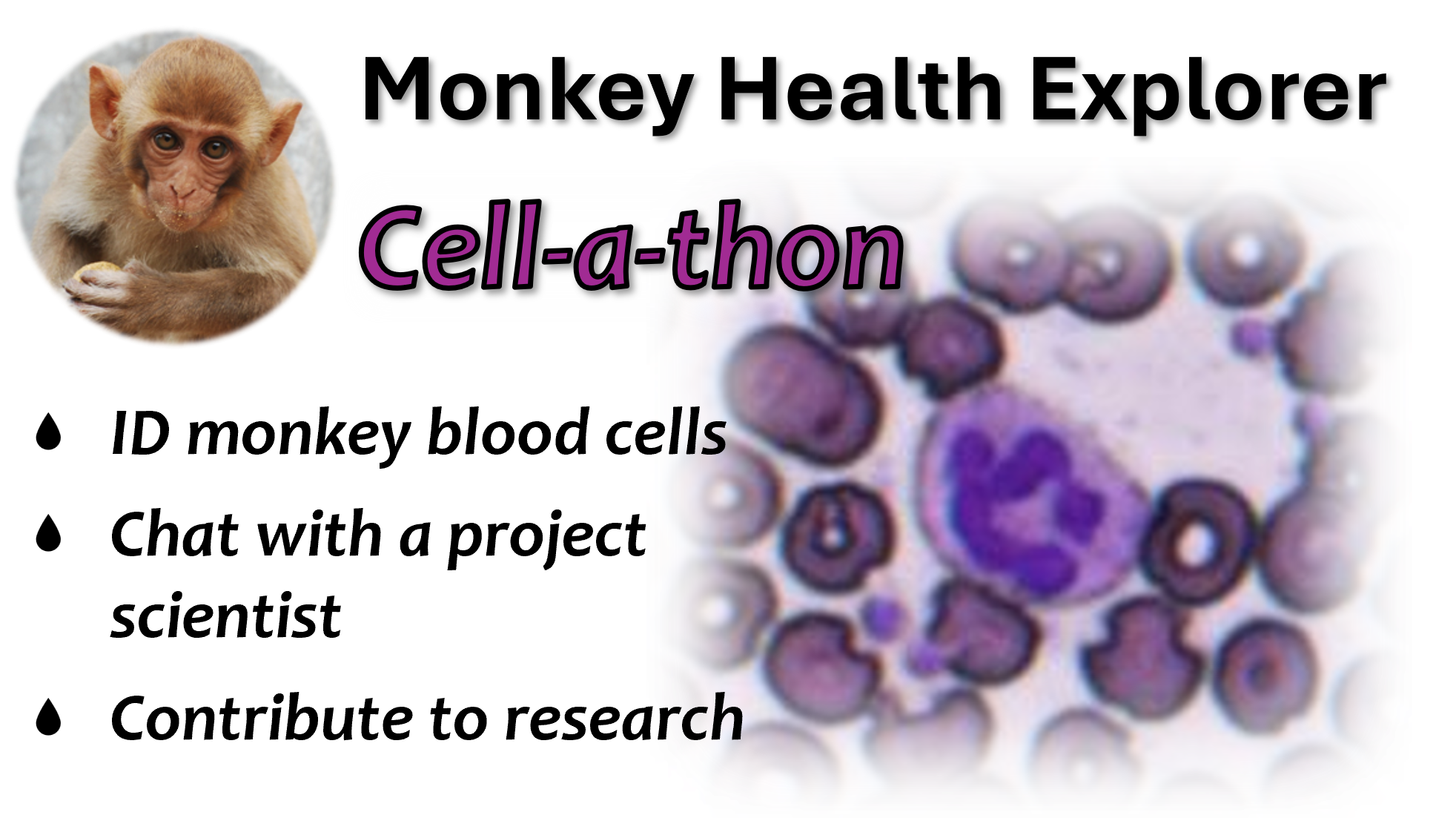 Monkey Health Explorer - Cell-a-thon - SciStarter