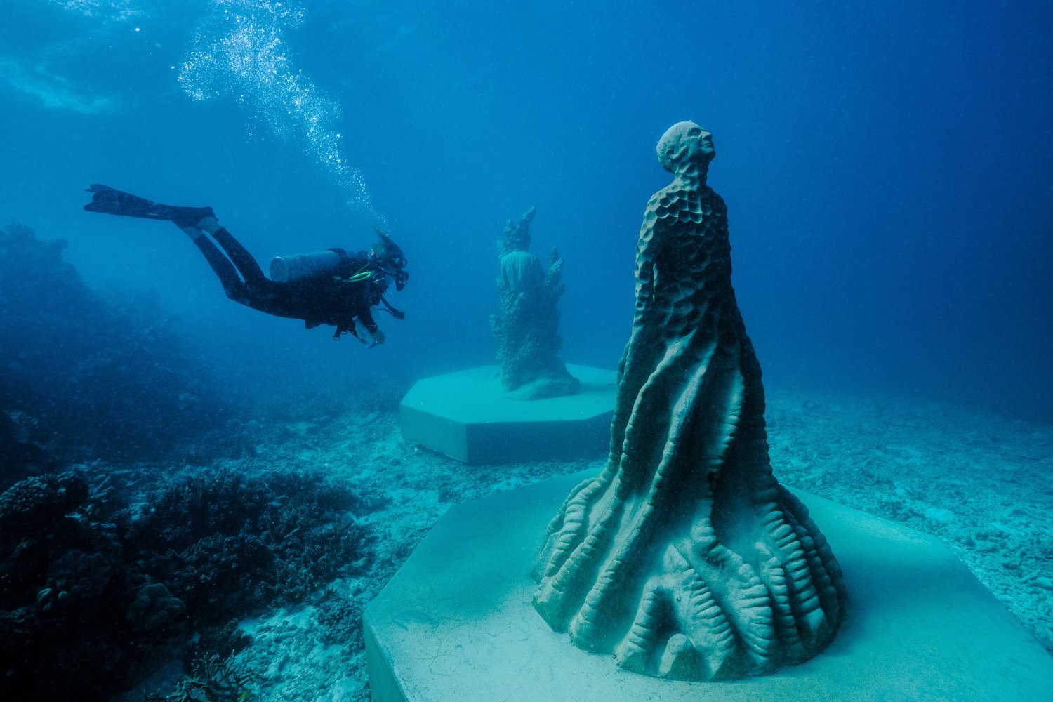 Citizen Science Month at the Museum of Underwater Art - SciStarter