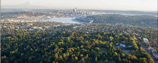 City Nature Challenge 2024: Seattle-Tacoma Metropolitan Area - SciStarter