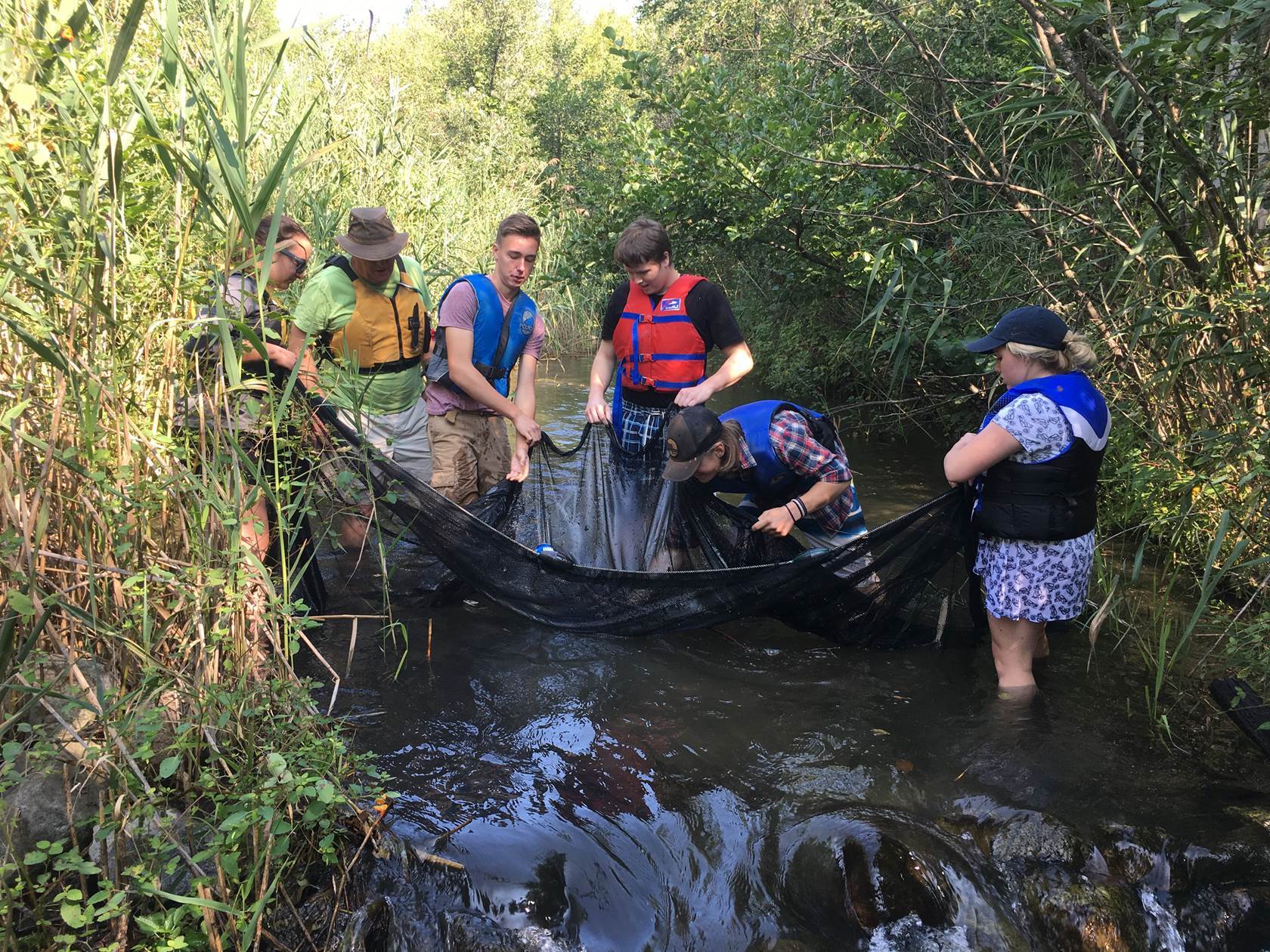 Take a virtual field trip to the St. Lawrence River with the River ...