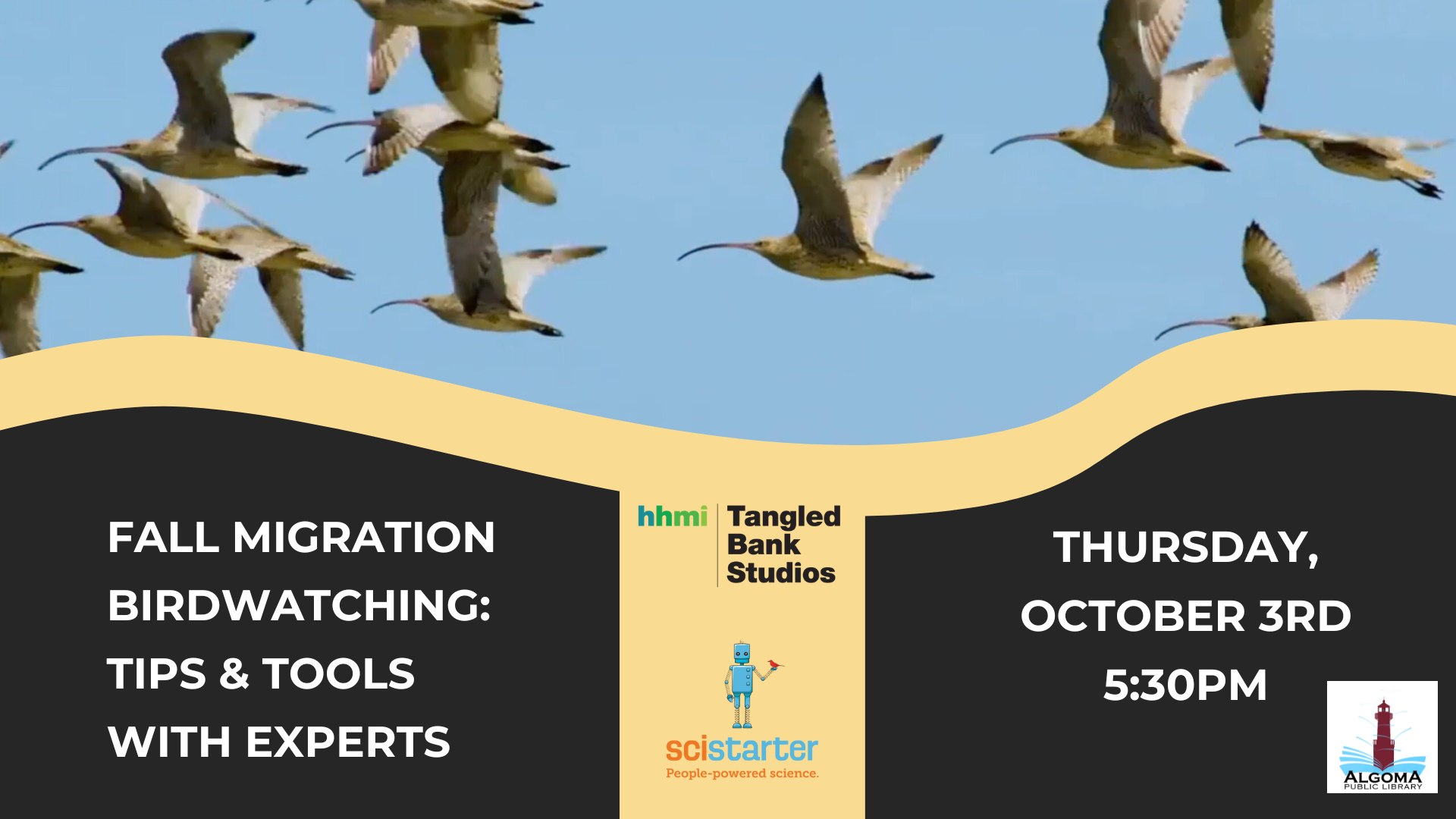 Fall Migration Birdwatching: Tips & Tools With Experts - SciStarter