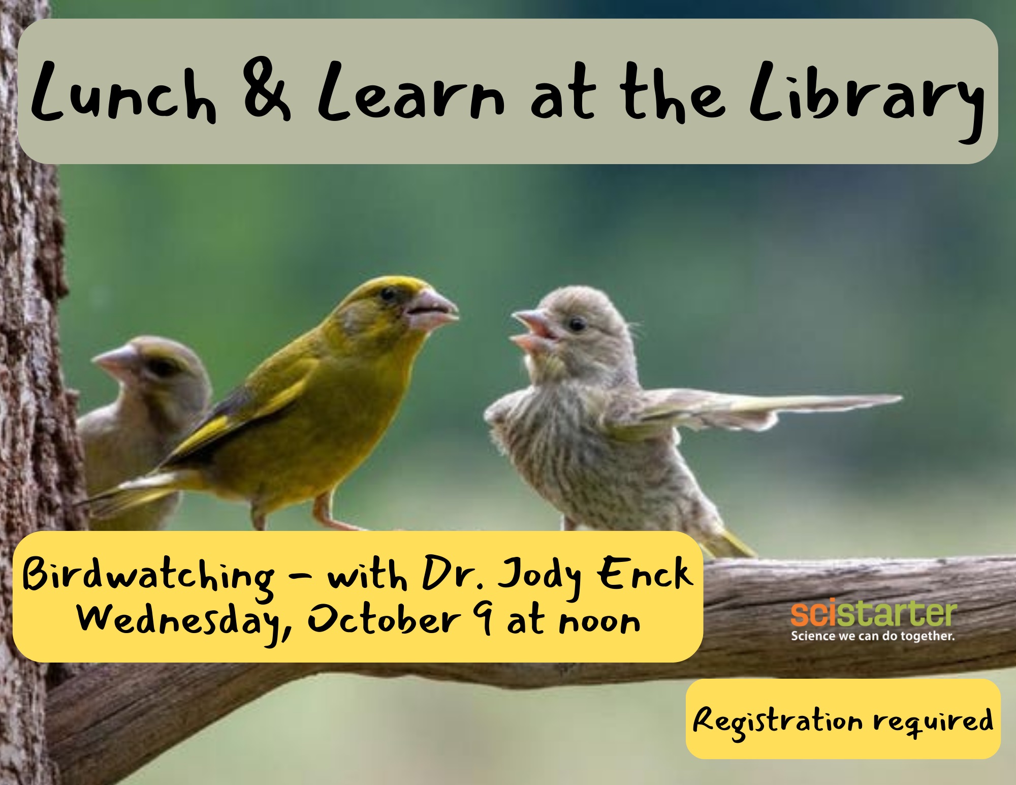 Lunch & Learn- Bird Watching with Dr. Jody Enck - SciStarter