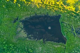 Beavers from Space - SciStarter