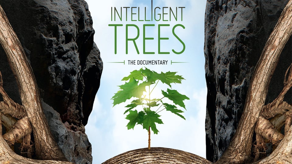 Movie Matinee: Intelligent Trees - SciStarter