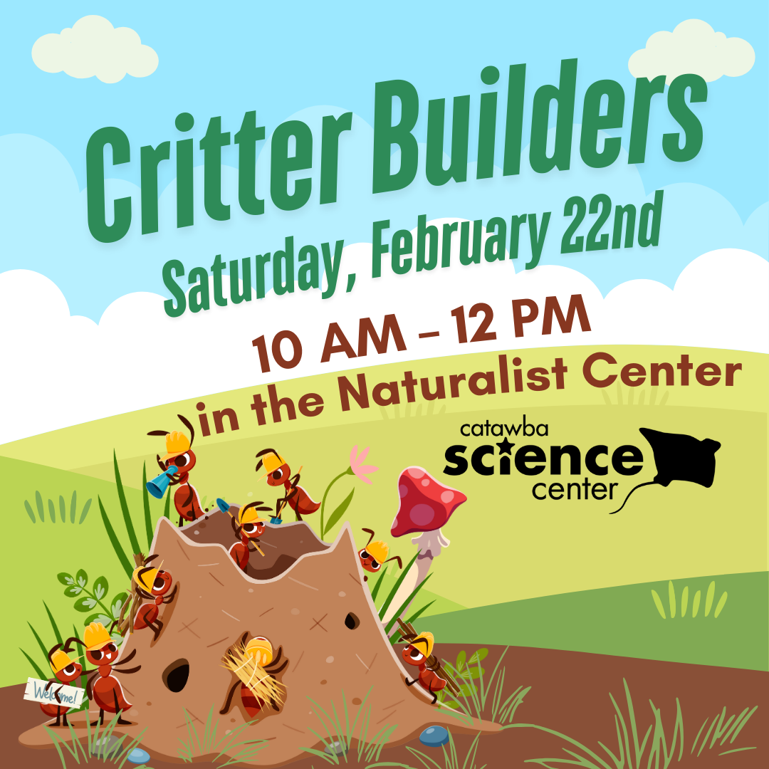 Naturalist Program: Critter Builders - SciStarter