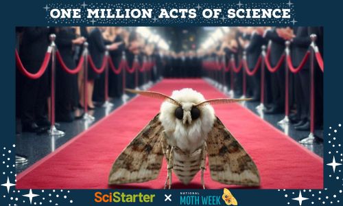 Light up the night—MOTH style for International Moth Night - SciStarter