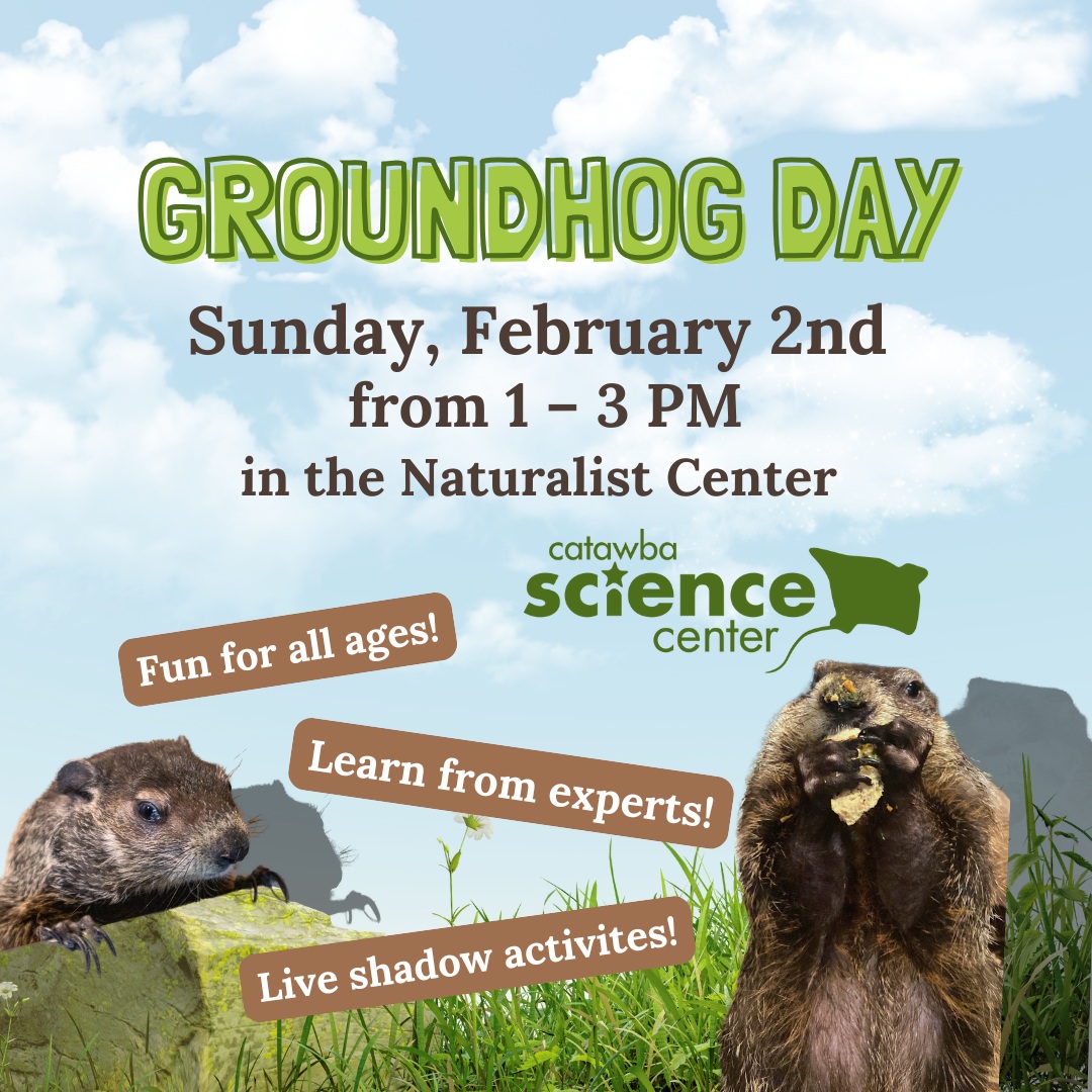 Groundhog Day! - SciStarter