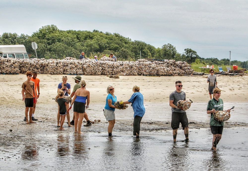Moores Beach Shell-A-Bration - SciStarter
