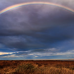 Find a Rainbow Today! 🌈 - SciStarter