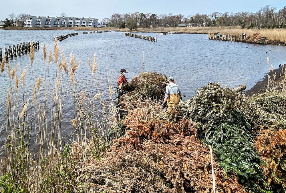 Slade Dale Spruce Up - SciStarter