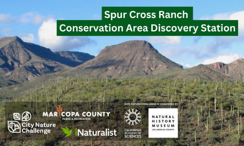 Spur Cross Ranch City Nature Chanllenge Hike - SciStarter