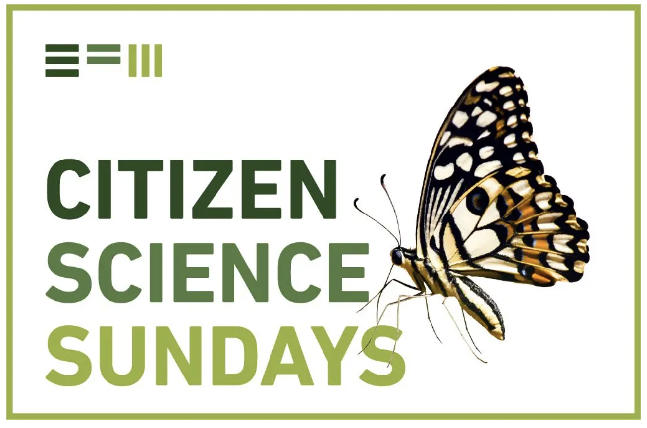 Citizen Science Sundays: Foundations of Citizen Science - SciStarter