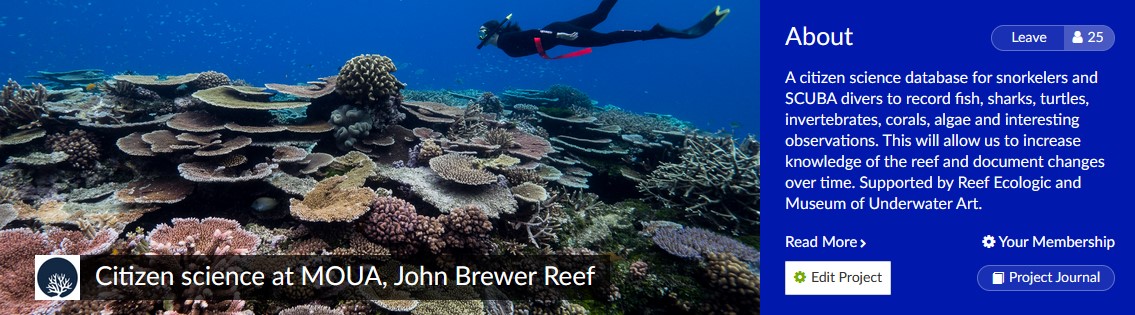 Citizen Science at the Museum of Underwater Art, John Brewer Reef - SciStarter